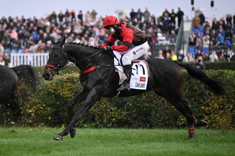 Čmiel skončil ve Velké Pardubické senzačně třetí - eHutník